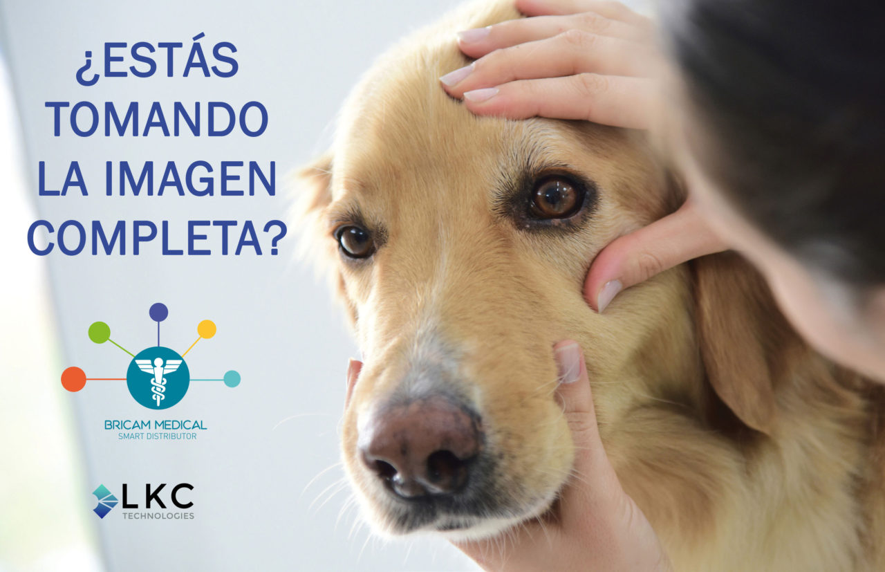 RETevet Electro Retino Diagnóstico para uso Veterinario con animales